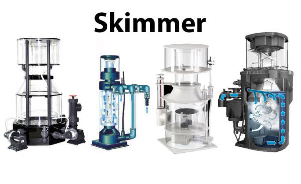 Skimmer: O guia completo para iniciantes no aquarismo | Aquaristz
